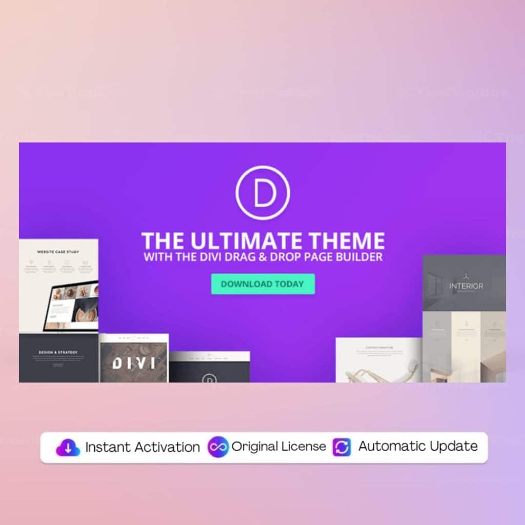 Divi Builder Theme Lifetime | WP INDO
