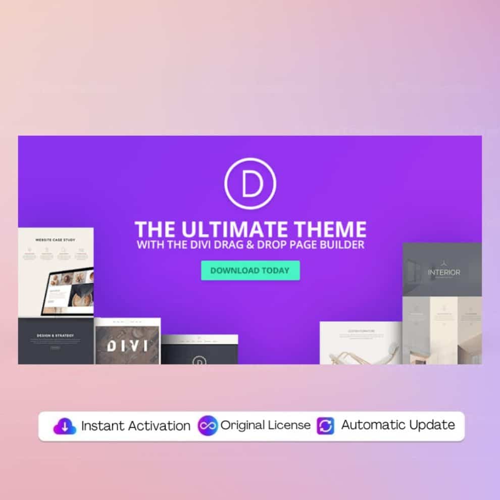 Divi Builder Theme Lifetime | WP INDO